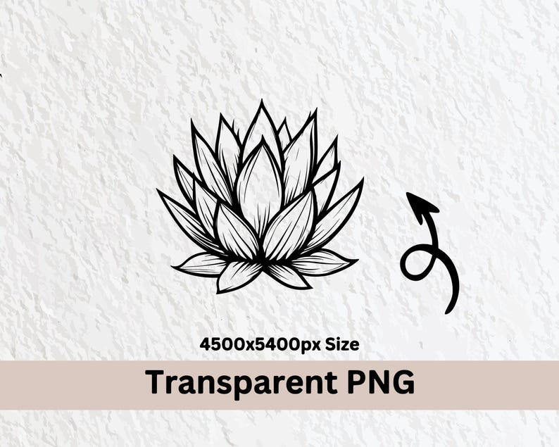 Agave SVG Bundle: Silhouette Clipart, Logo & Decal (PNG, Vector) - Etsy