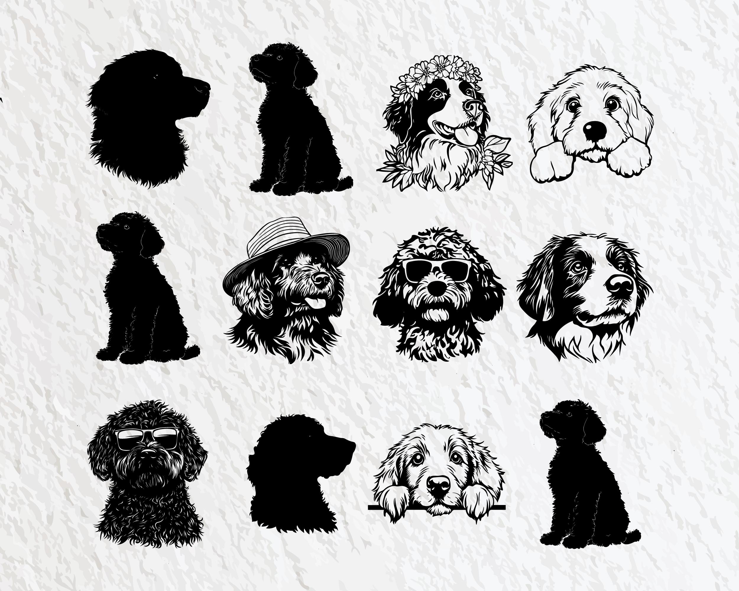 Bernedoodle Svg Bundle, Bernedoodle Silhouette, Bernedoodle Clipart Png ...