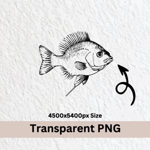 Bluegill Svg Bundle, Bluegill Silhouette, Bluegill Clipart Png ...