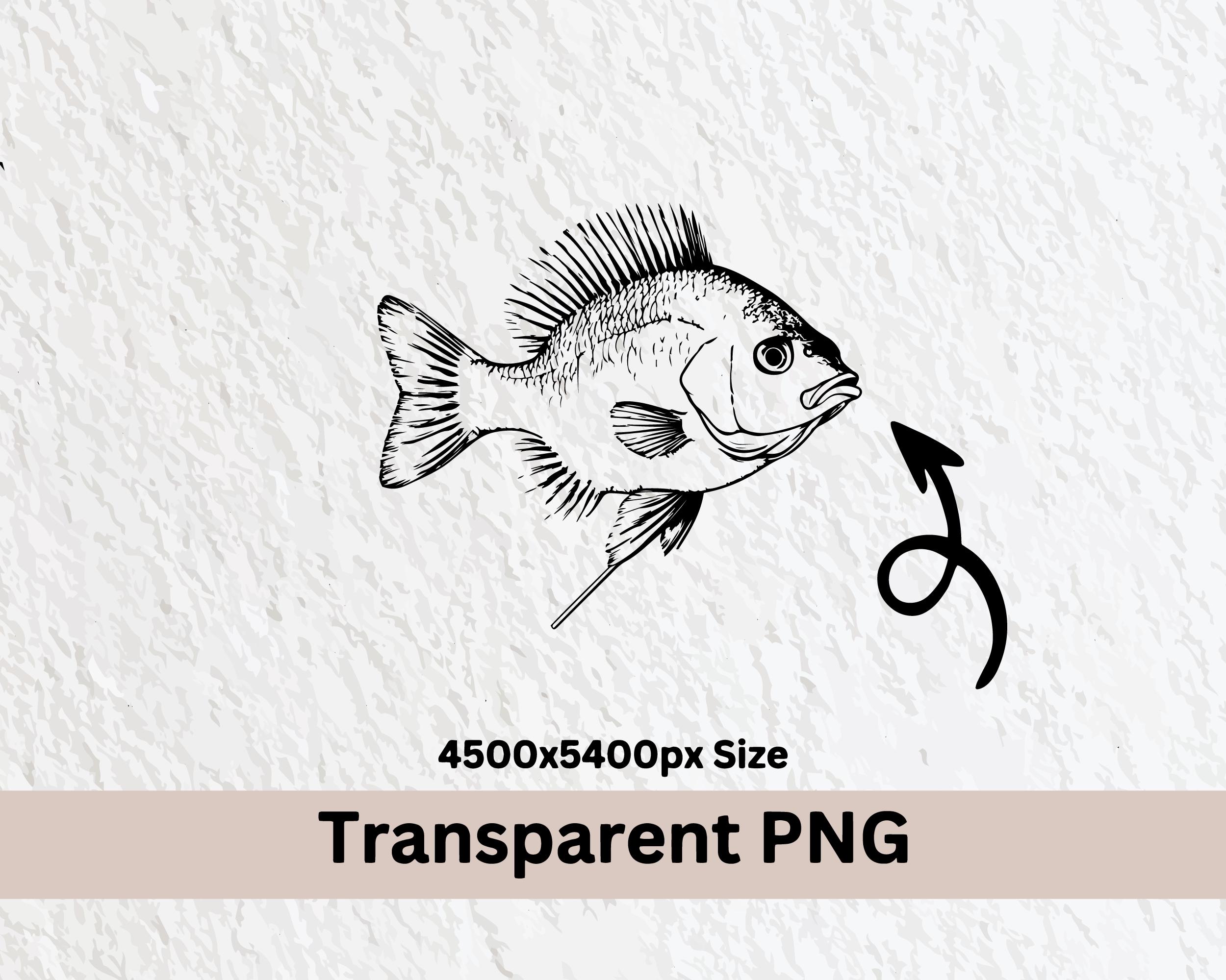 Bluegill SVG Bundle: Fish Silhouette Clipart, Cricut Decal Files - Etsy