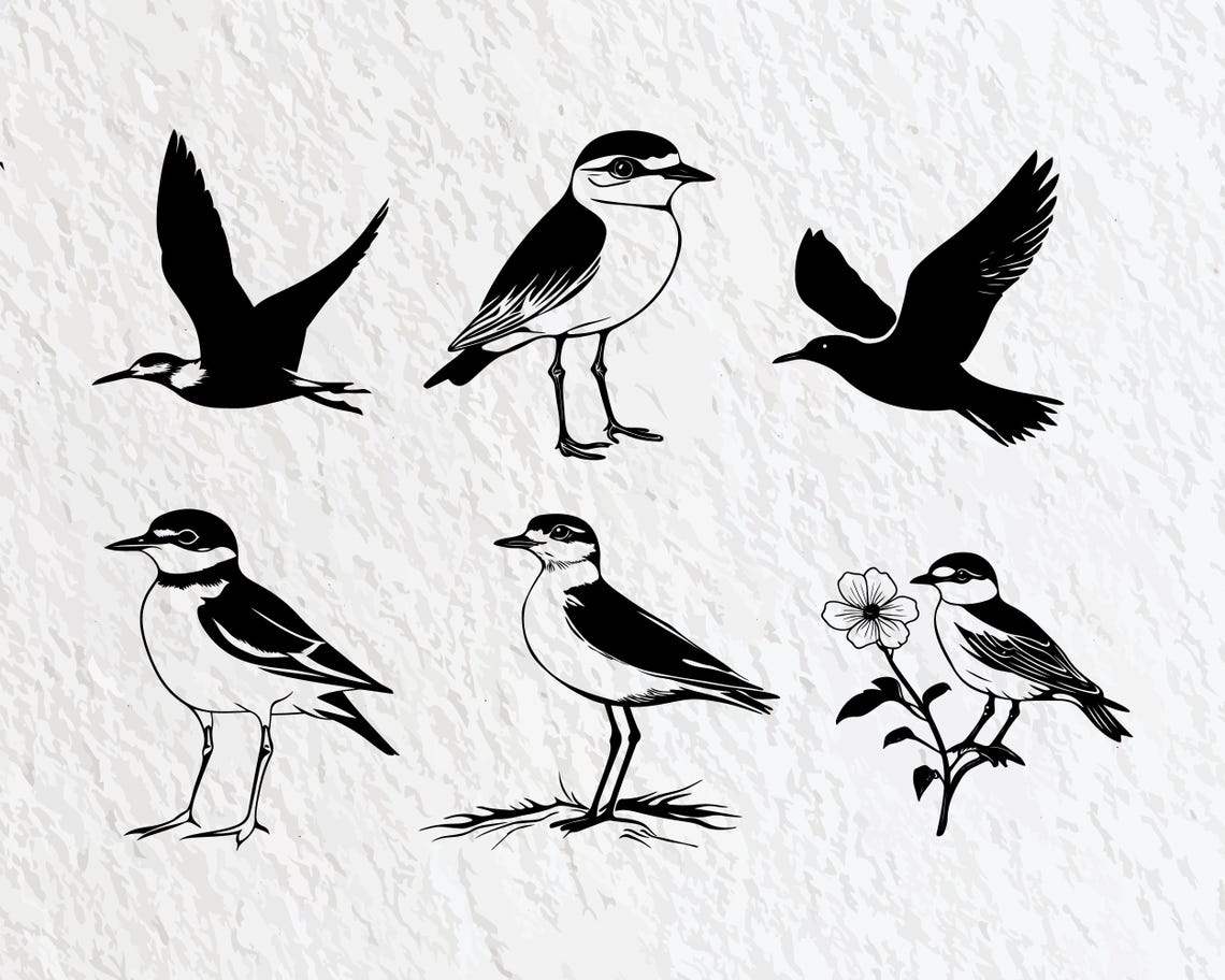 Plover Silhouette SVG Bundle: Bird Clipart, Decal, Vector (digital ...