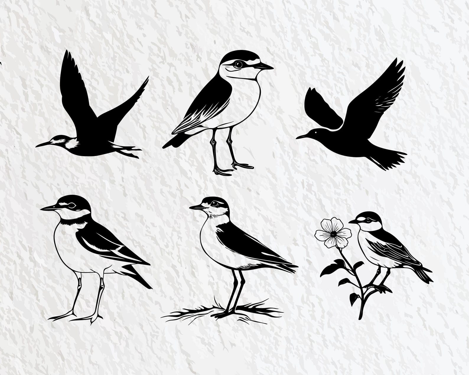 Plover Silhouette SVG Bundle: Bird Clipart, Decal, Vector (digital ...