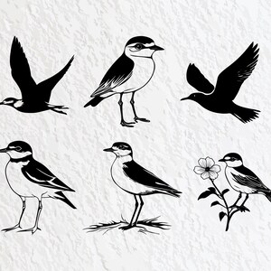 Plover Silhouette SVG Bundle: Bird Clipart, Decal, Vector (digital ...