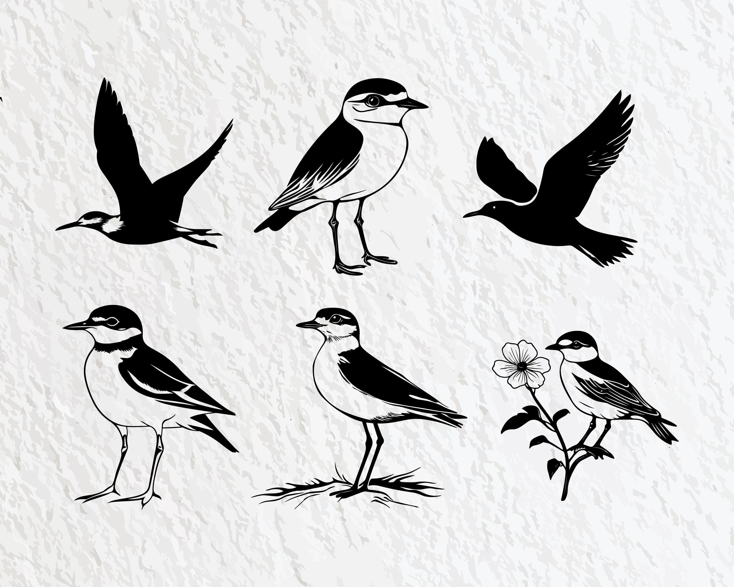 Plover Silhouette Svg, Plover Svg Bundle, Plover Breed Clipart, Plover ...