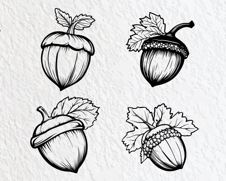 Acorn Svg Bundle, Acorn Silhouette, Acorn Clipart Png, Acorn Outline ...