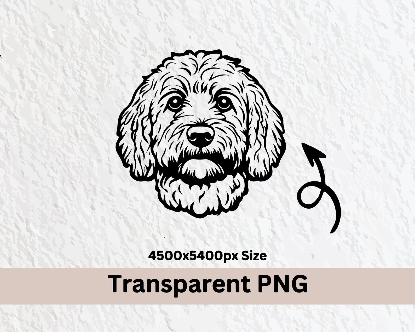 Cavapoo Dog Svg Bundle, Cavapoo Dog Silhouette, Cavapoo Dog Clipart Png ...