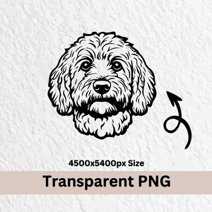 Cavapoo Dog Svg Bundle, Cavapoo Dog Silhouette, Cavapoo Dog Clipart Png ...