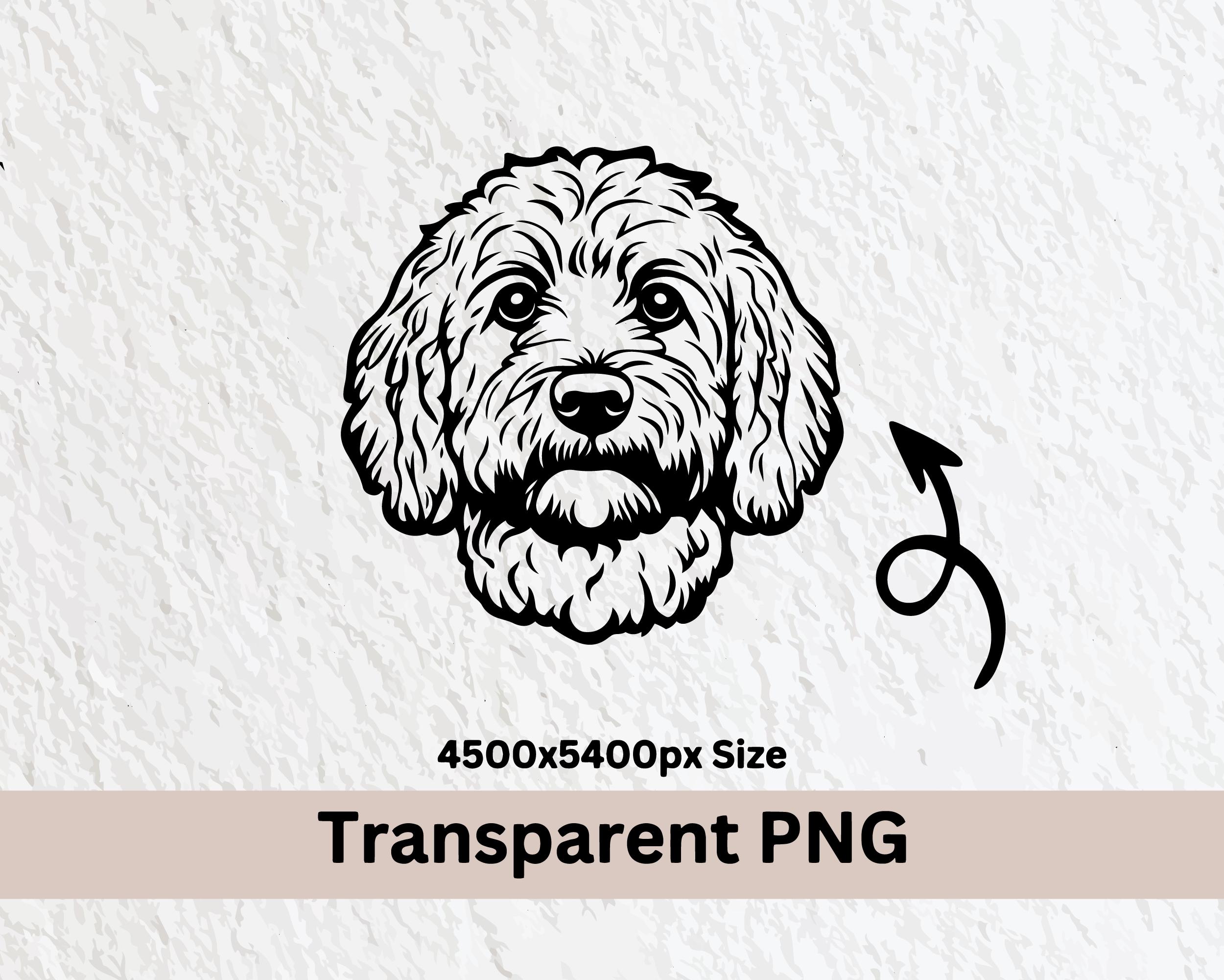 Cavapoo Dog Svg Bundle, Cavapoo Dog Silhouette, Cavapoo Dog Clipart Png ...