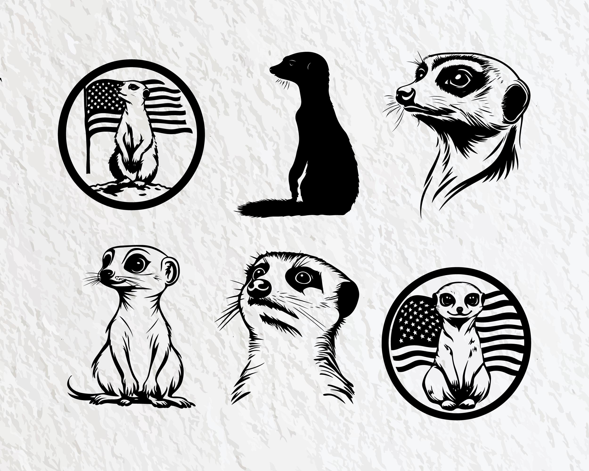 Meerkat Svg Bundle, Meerkat Silhouette, Meerkat Clipart Png, Meerkat ...
