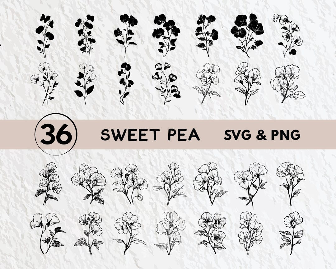 Sweet Pea Svg Bundle, Sweet Pea Silhouette, Sweet Pea Clipart Png ...