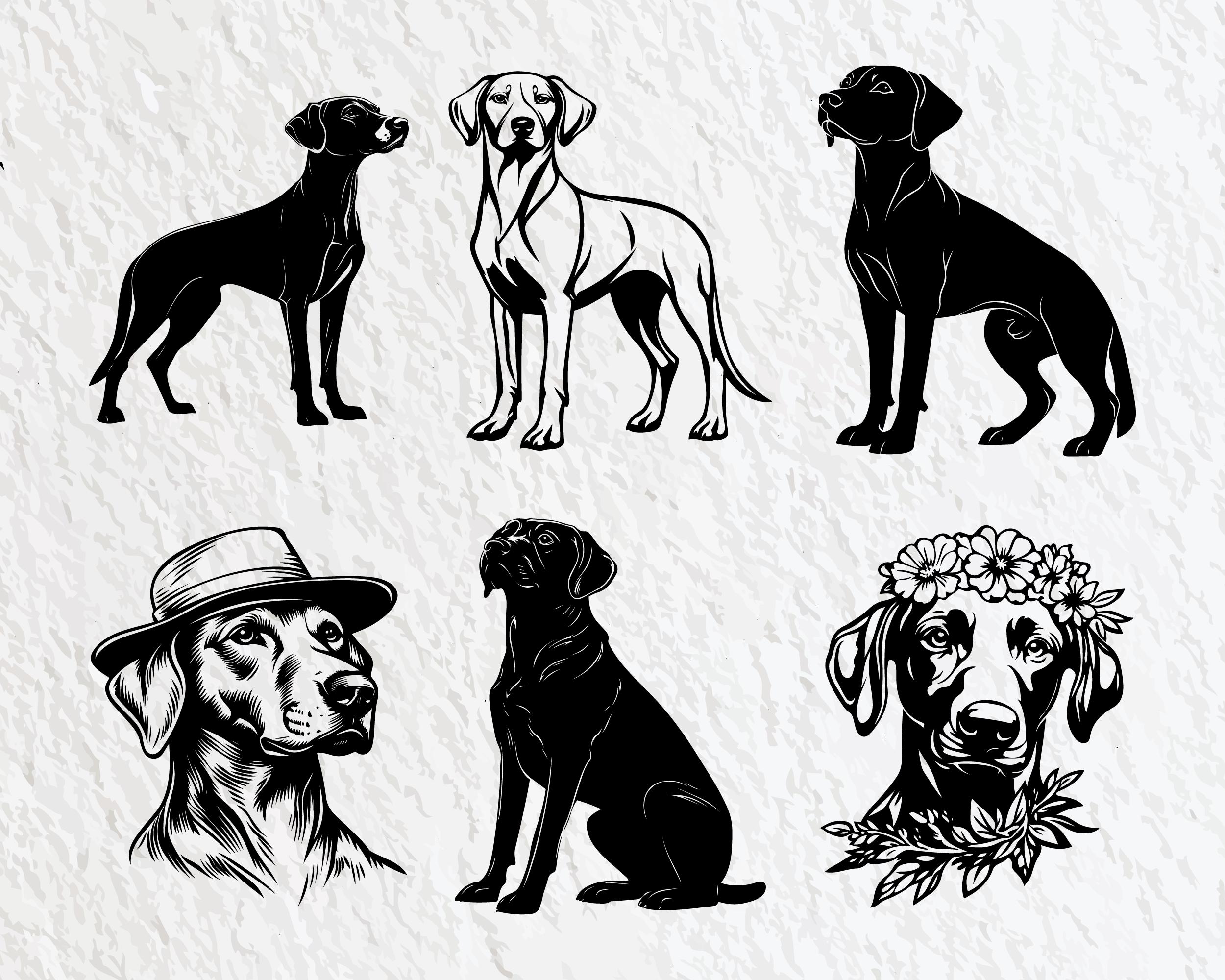 Plott Hound SVG Bundle: Dog Silhouette Clipart (PNG, Vector) - Etsy