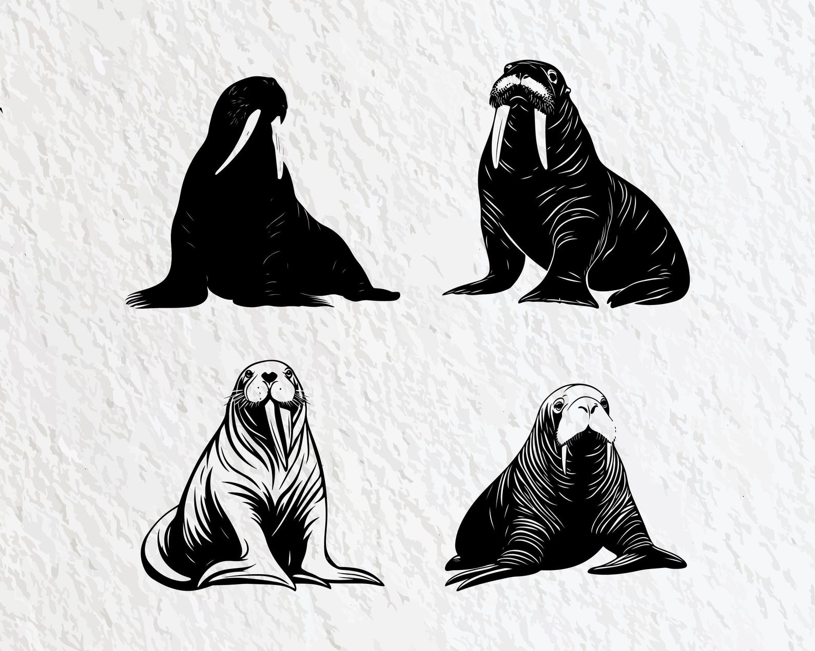 Walrus Silhouette Svg, Walrus Svg Bundle, Walrus Clipart, Walrus Decal ...