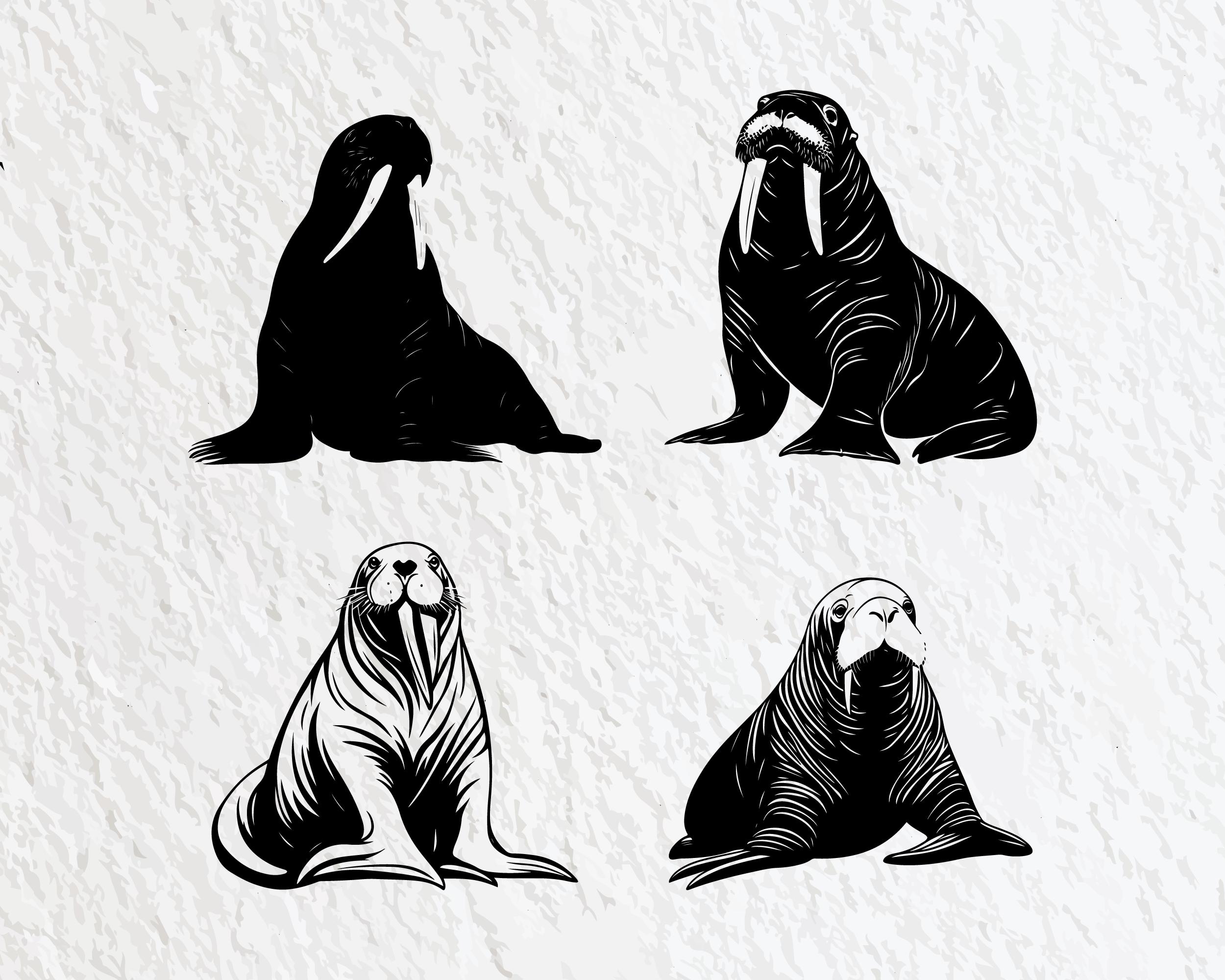 Walrus Silhouette Svg, Walrus Svg Bundle, Walrus Clipart, Walrus Decal ...