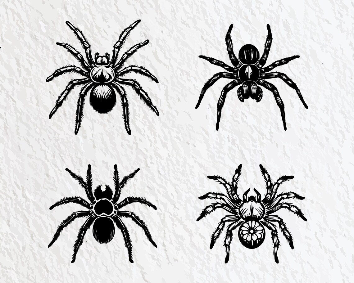 Tarantula Svg Bundle, Tarantula Silhouette, Tarantula Clipart Png ...
