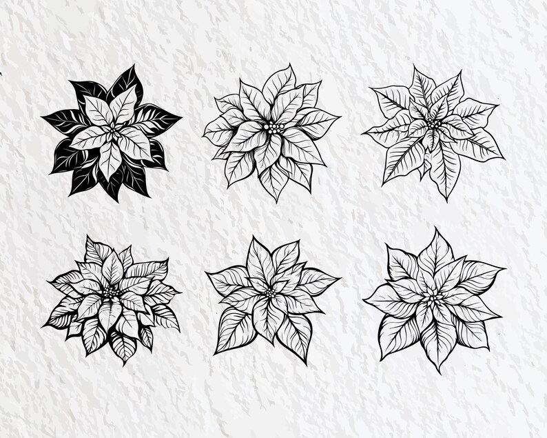 Poinsettia SVG Bundle, Christmas Floral Clipart (PNG, Cut Files) - Etsy