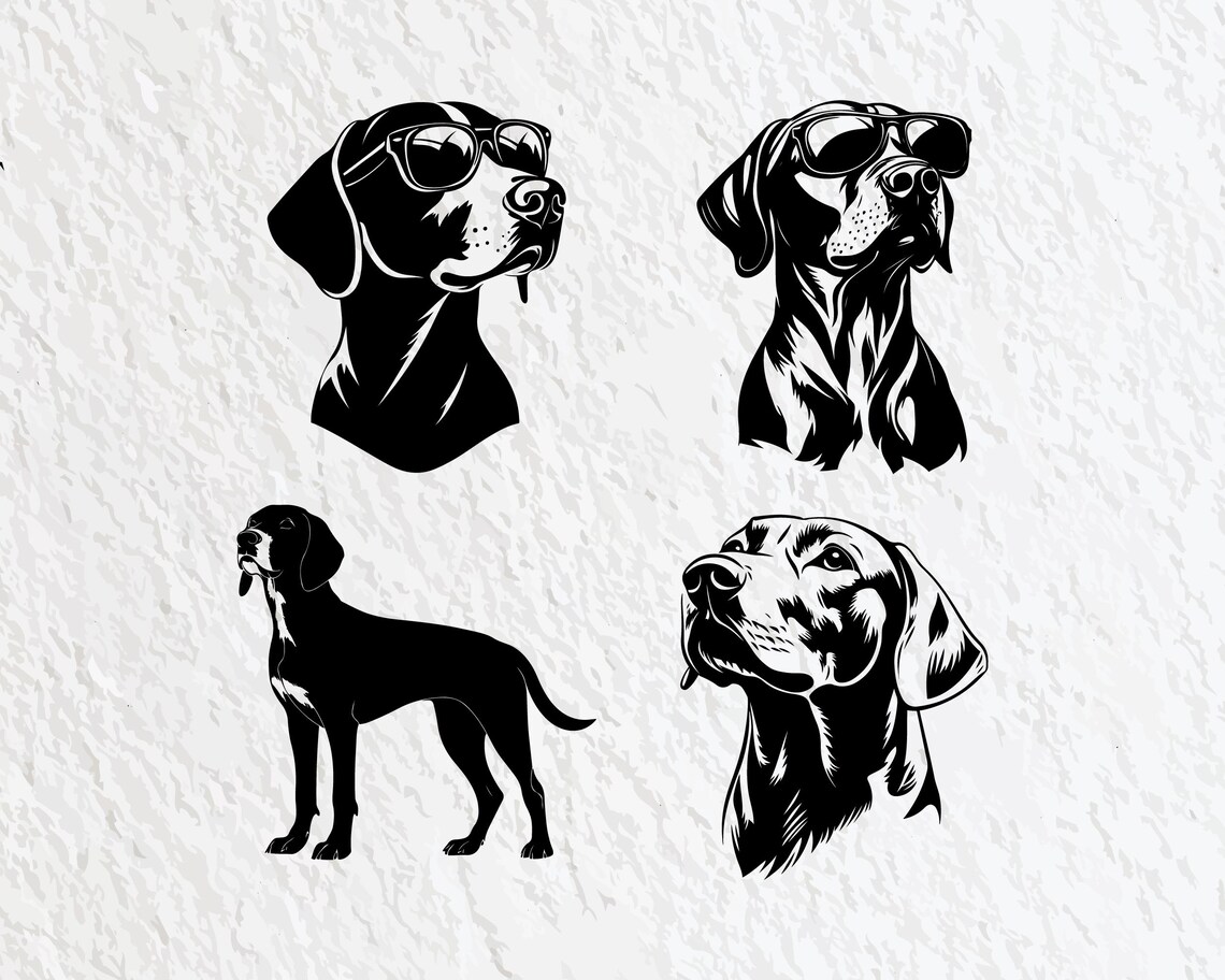 Plott Hound SVG Bundle: Dog Silhouette Clipart (PNG, Vector) - Etsy
