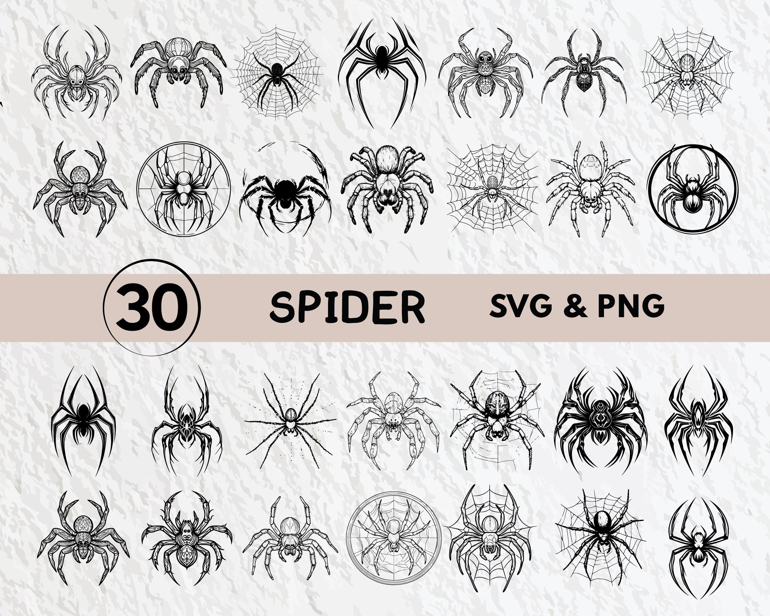 Spider SVG Bundle: Silhouette Clipart, Cricut Cut Files - Etsy