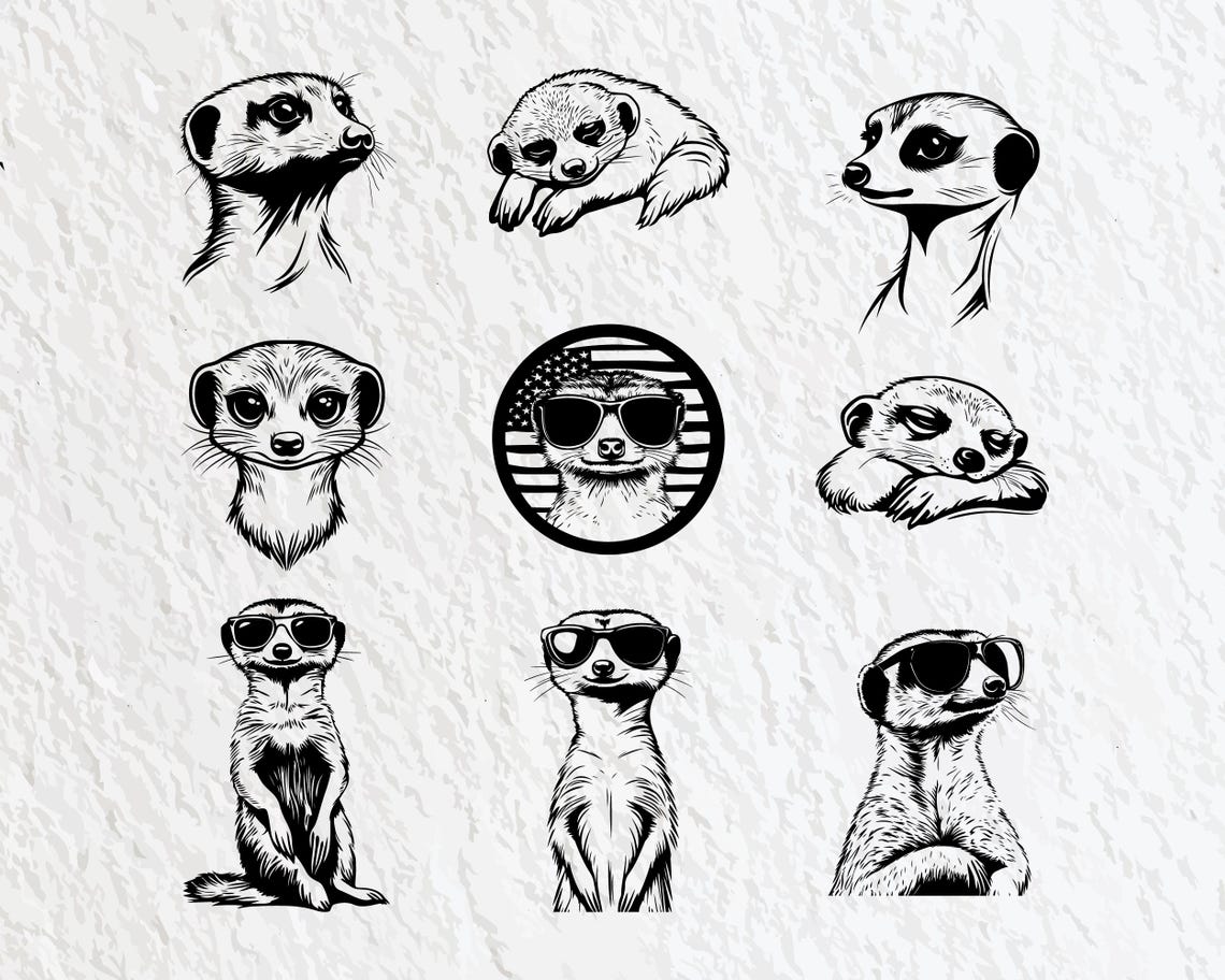 Meerkat Svg Bundle, Meerkat Silhouette, Meerkat Clipart Png, Meerkat ...