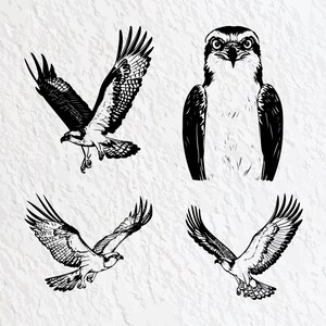 Osprey Svg Bundle, Osprey Silhouette, Osprey Clipart Png, Osprey ...