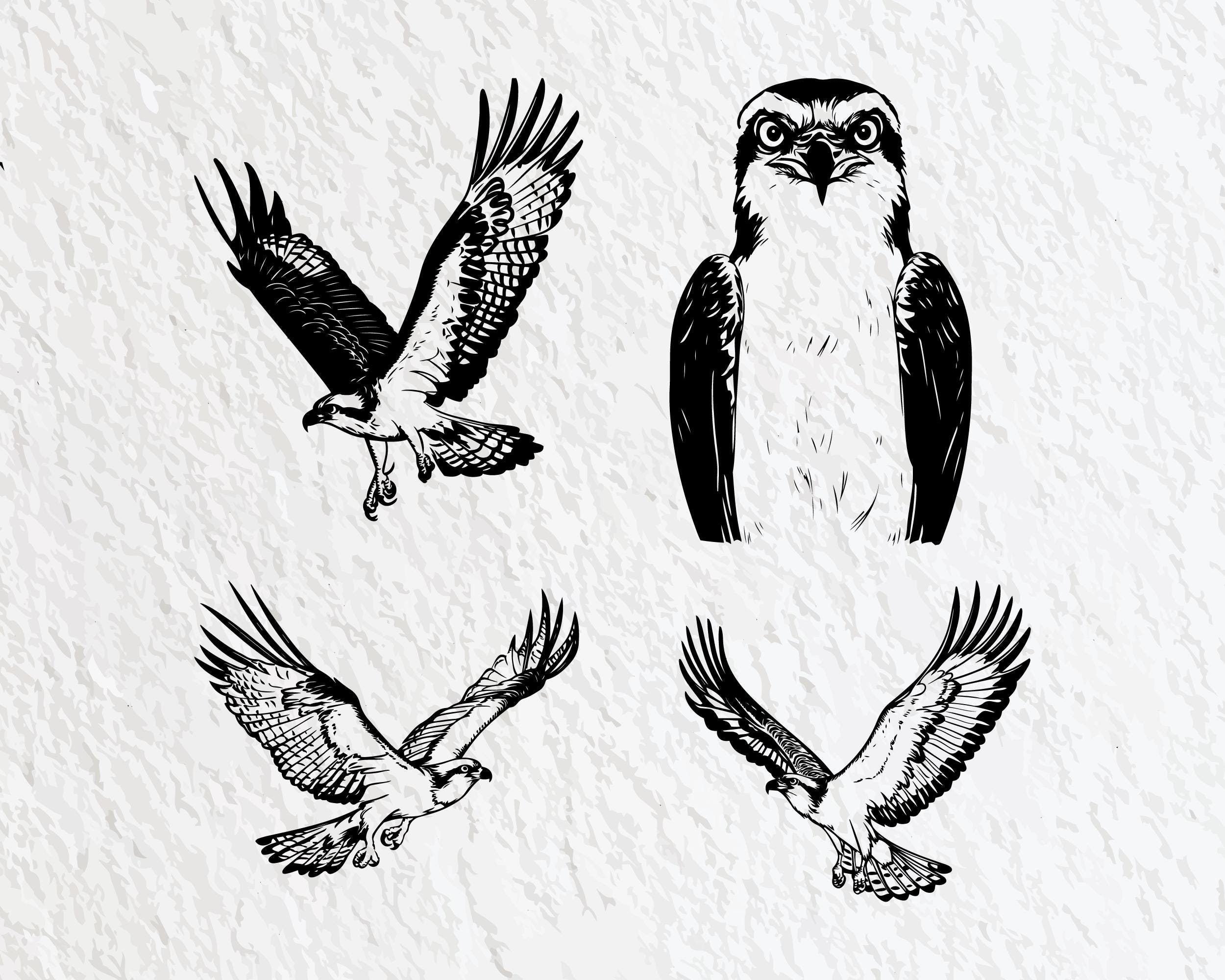 Osprey Svg Bundle, Osprey Silhouette, Osprey Clipart Png, Osprey ...