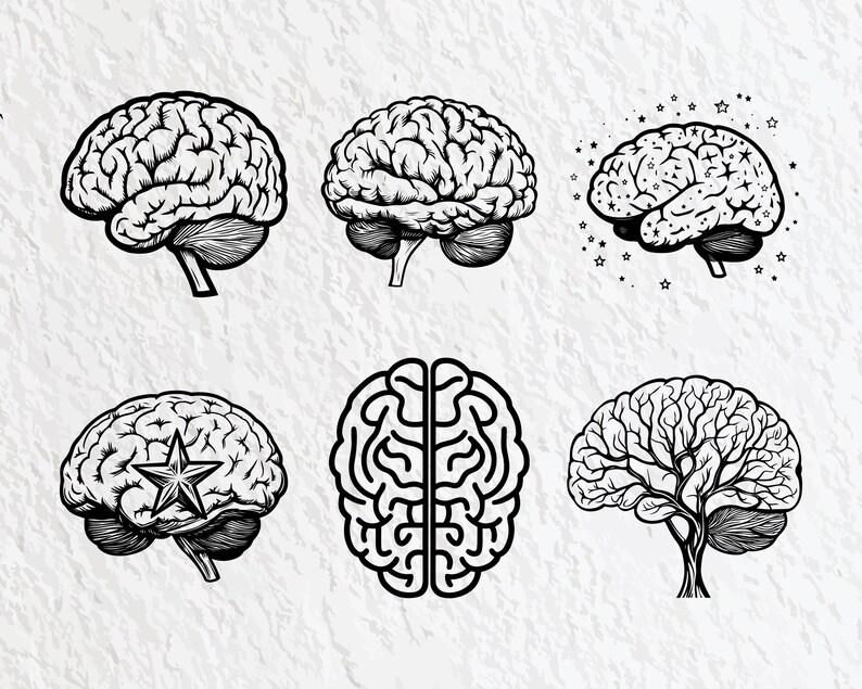 Human Brain SVG Bundle: Silhouette, Clipart, Vector (cut Files, PNG ...