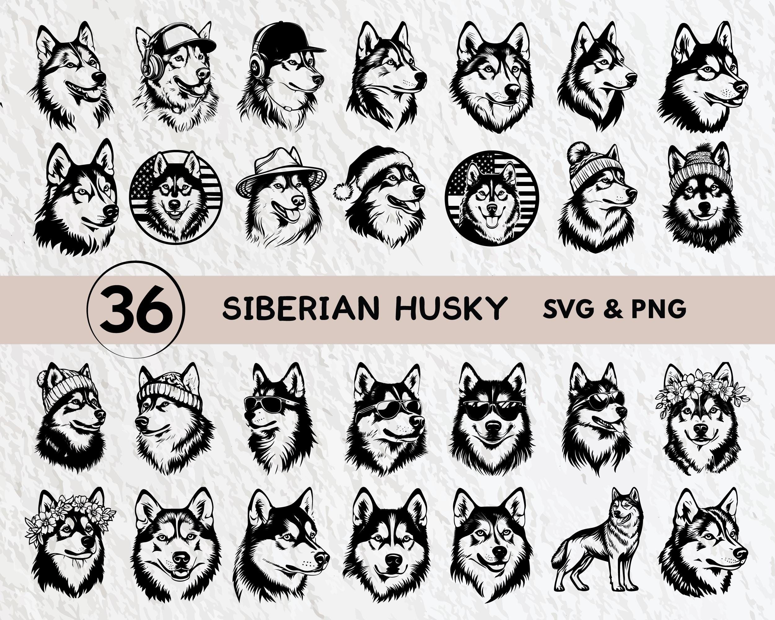 Siberian Husky Svg Bundle, Siberian Husky Silhouette, Siberian Husky ...