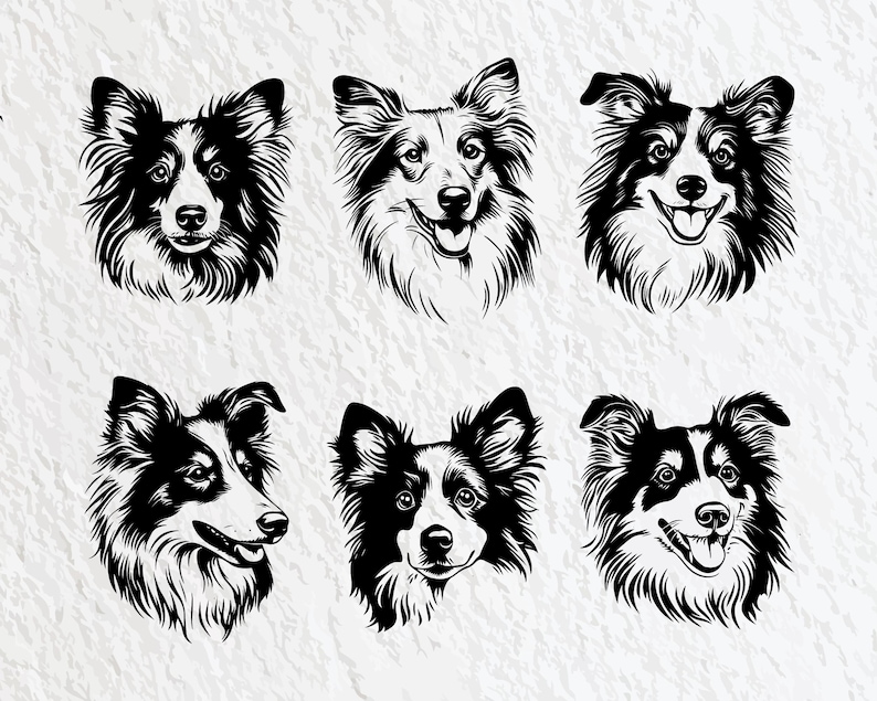 Sheltie Dog SVG Bundle: Silhouette Clipart, Vector Icon Set (PNG) - Etsy
