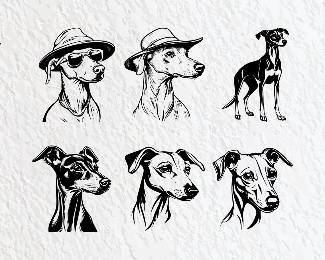 Whippet SVG Bundle: Dog Silhouette Clipart, Cricut Decal (digital ...