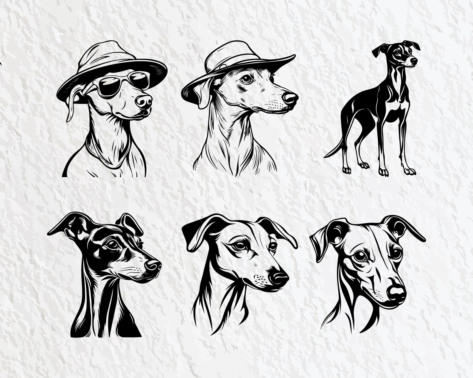 Whippet SVG Bundle: Dog Silhouette Clipart, Cricut Decal (digital ...