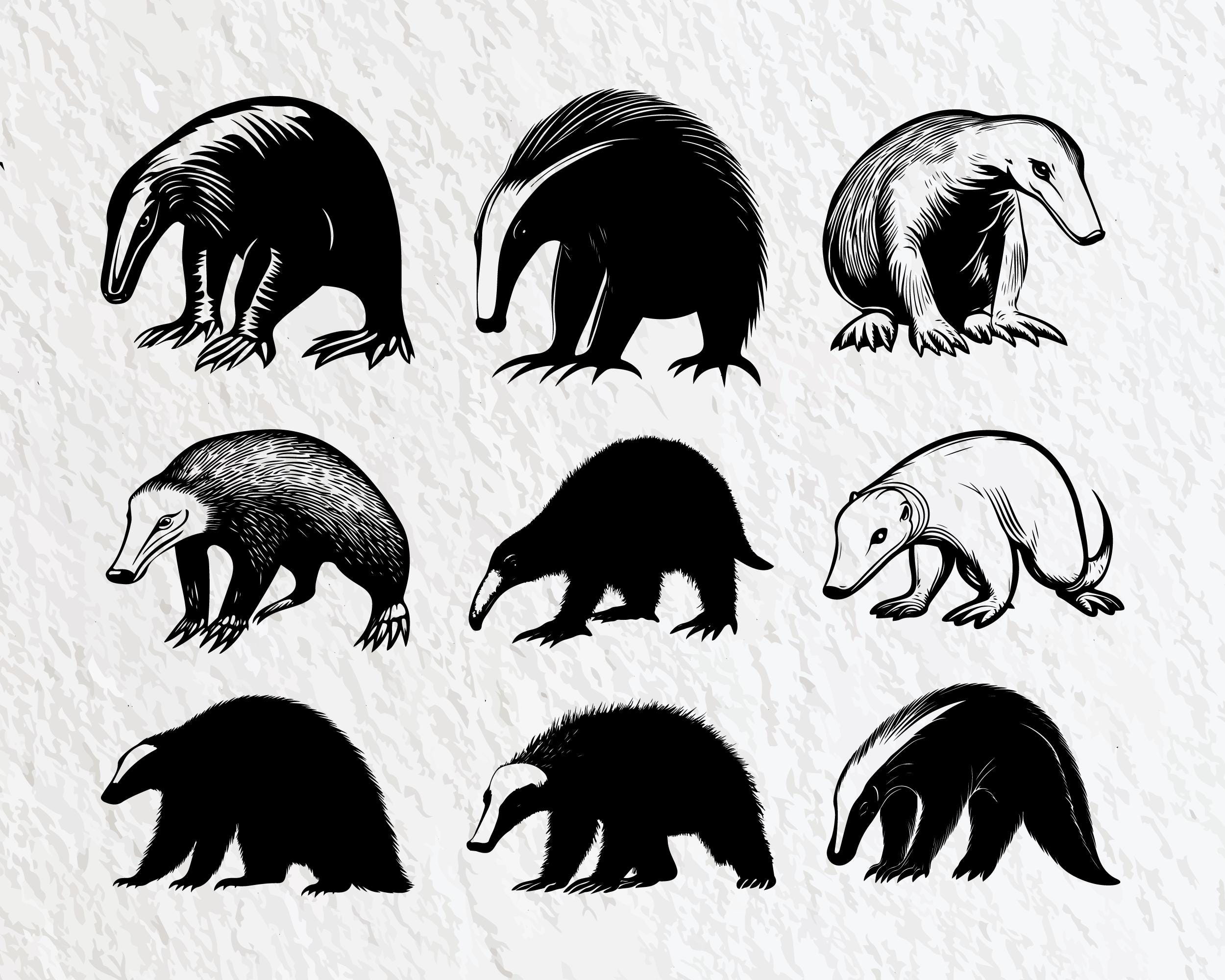 Anteater Svg Bundle, Anteater Silhouette, Anteater Clipart Png ...