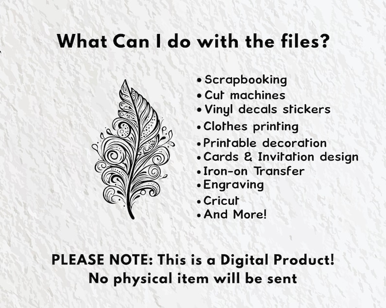 Quill SVG Bundle: Feather Pen Clipart, Logo & Decal (PNG, Cricut Files ...