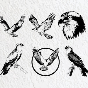 Osprey Svg Bundle, Osprey Silhouette, Osprey Clipart Png, Osprey ...