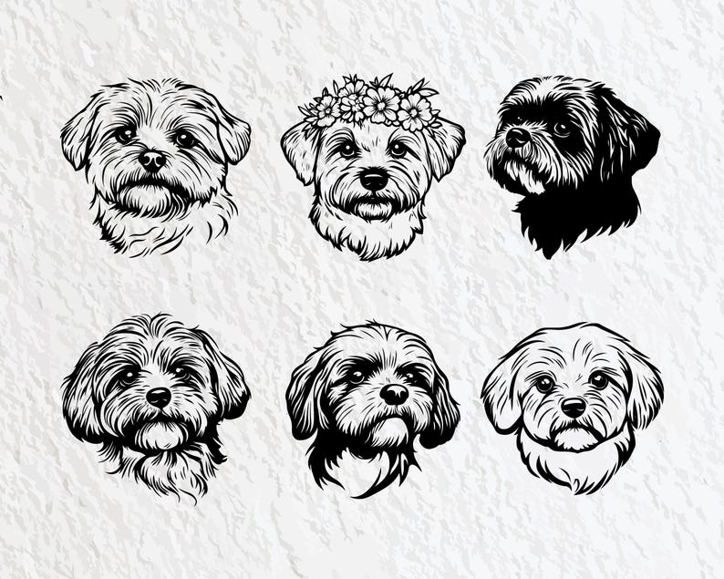Shichon Dog SVG Bundle: Silhouette, Clipart, Outline, Vector (PNG) - Etsy
