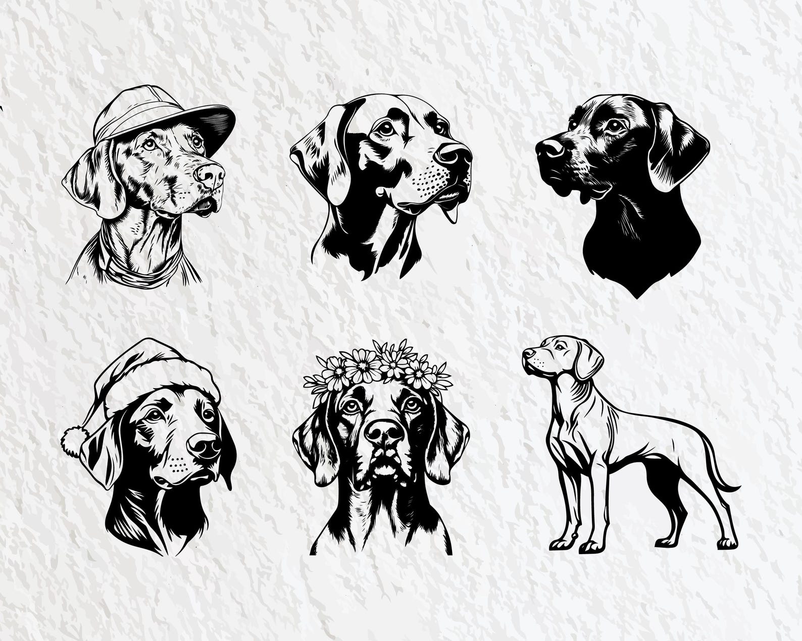 English Pointer Svg Bundle, English Pointer Silhouette, English Pointer ...