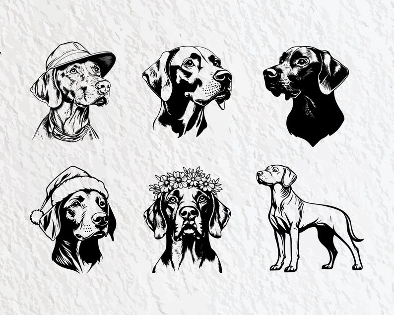 English Pointer Svg Bundle, English Pointer Silhouette, English Pointer ...