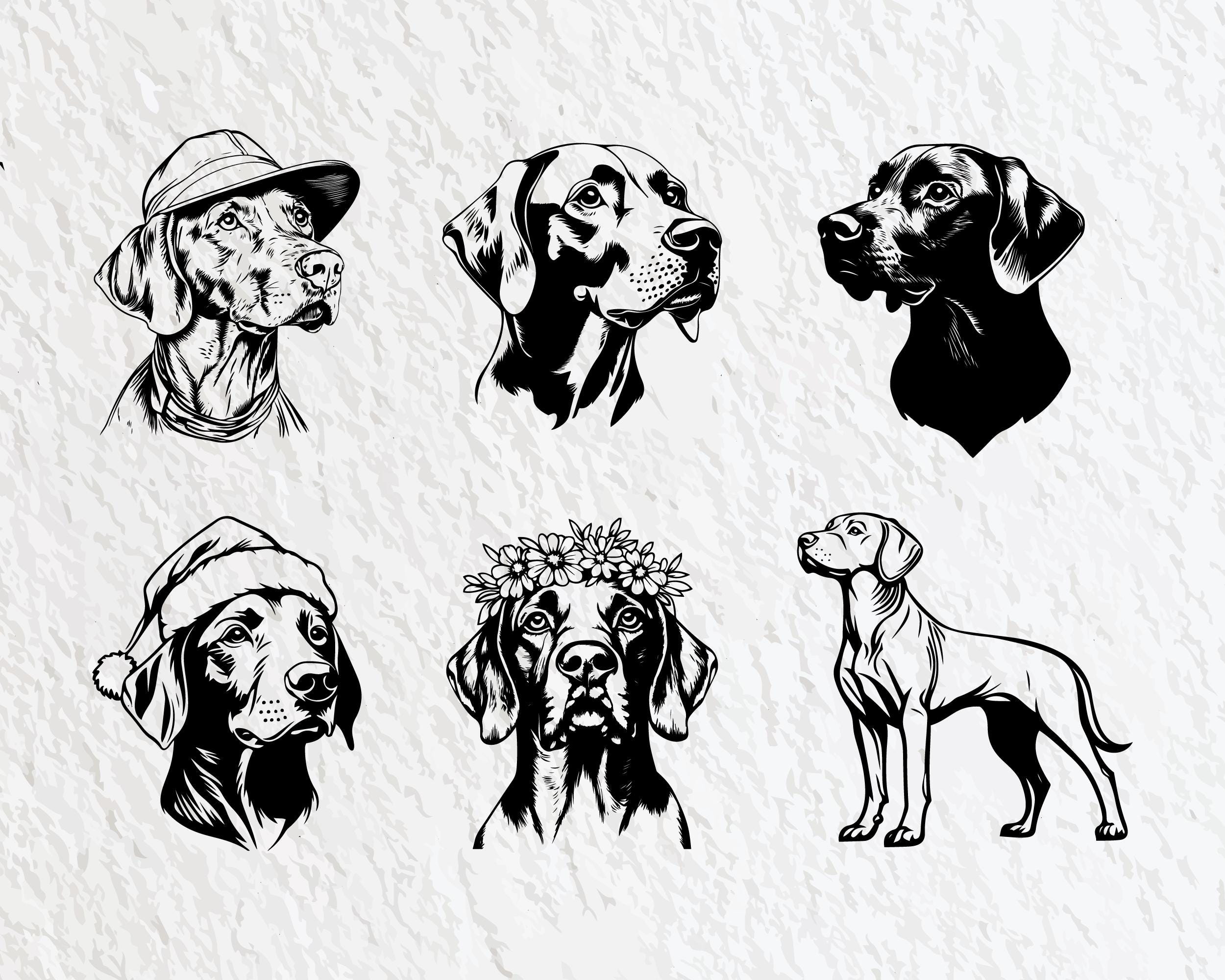 English Pointer Svg Bundle, English Pointer Silhouette, English Pointer ...