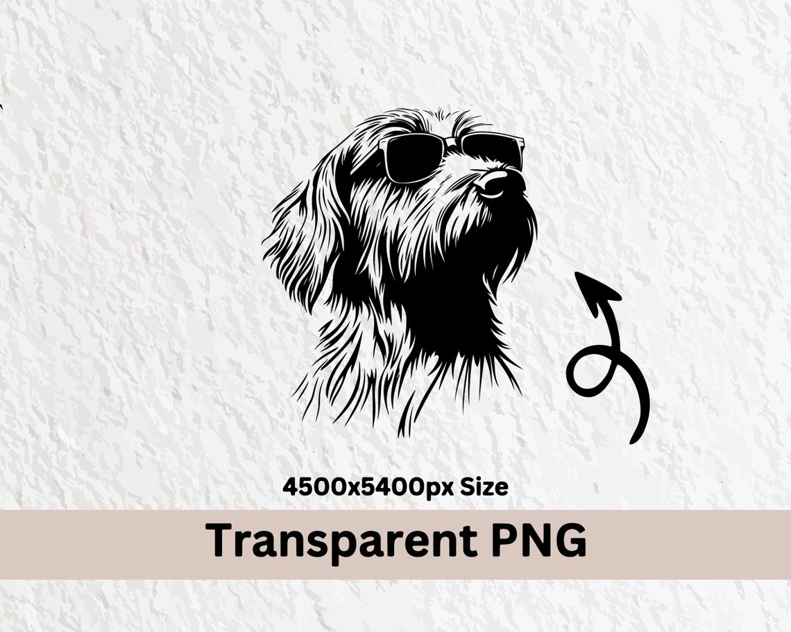 Spinone Italiano Dog SVG Bundle: Silhouette Clipart (digital Download ...