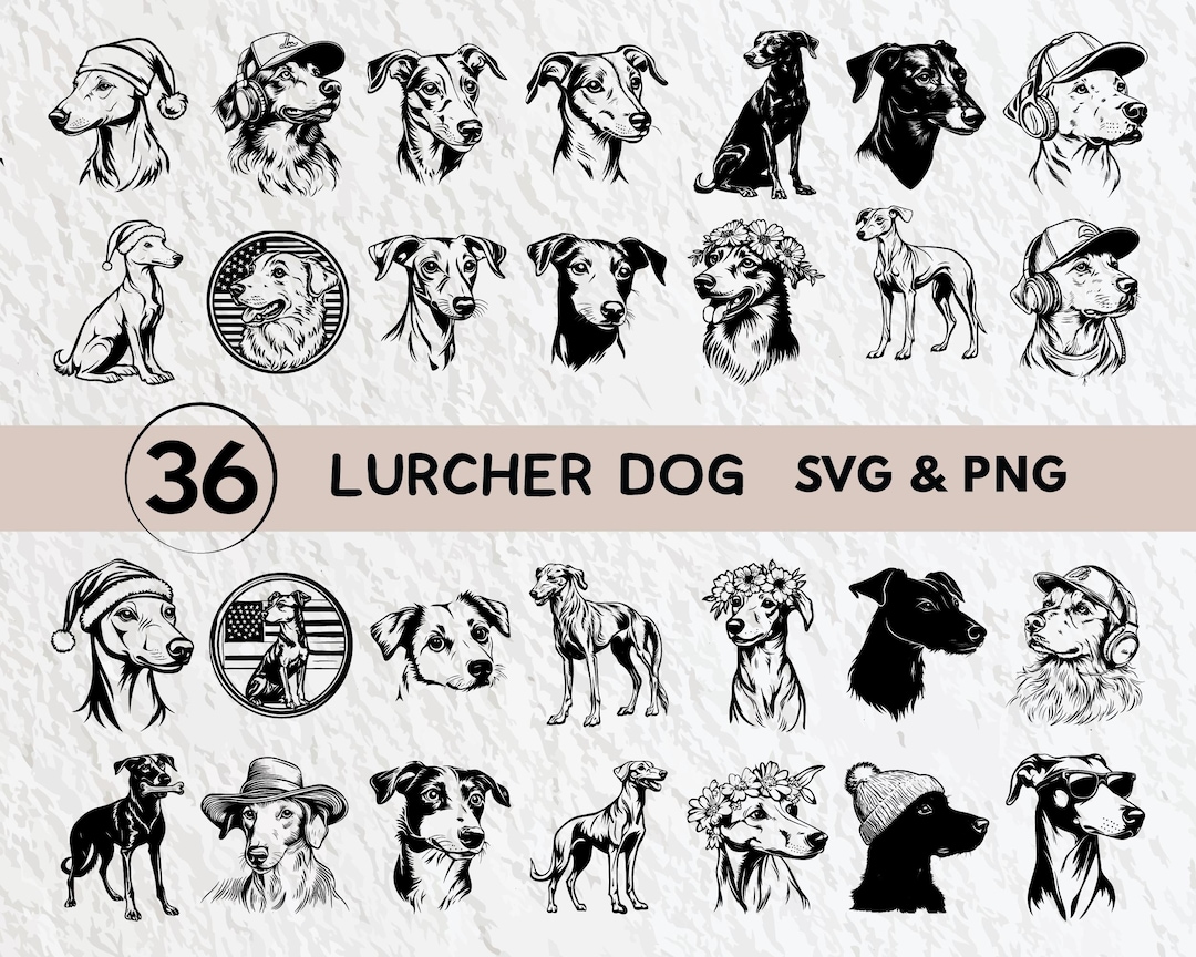 Lurcher Dog Svg Bundle, Lurcher Dog Silhouette, Lurcher Dog Clipart Png ...