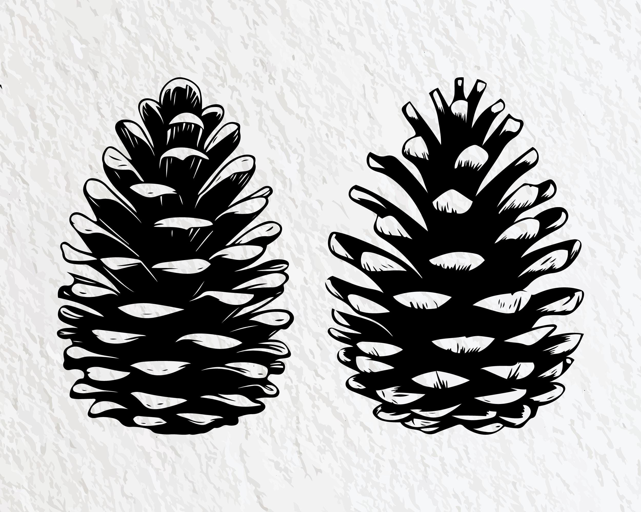 Pine Cone Svg Bundle, Pine Cone Silhouette, Pine Cone Clipart Png, Pine ...