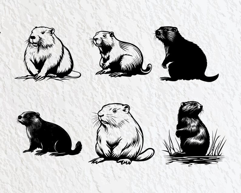 Beaver Svg Bundle, Beaver Silhouette, Beaver Clipart Png, Beaver ...