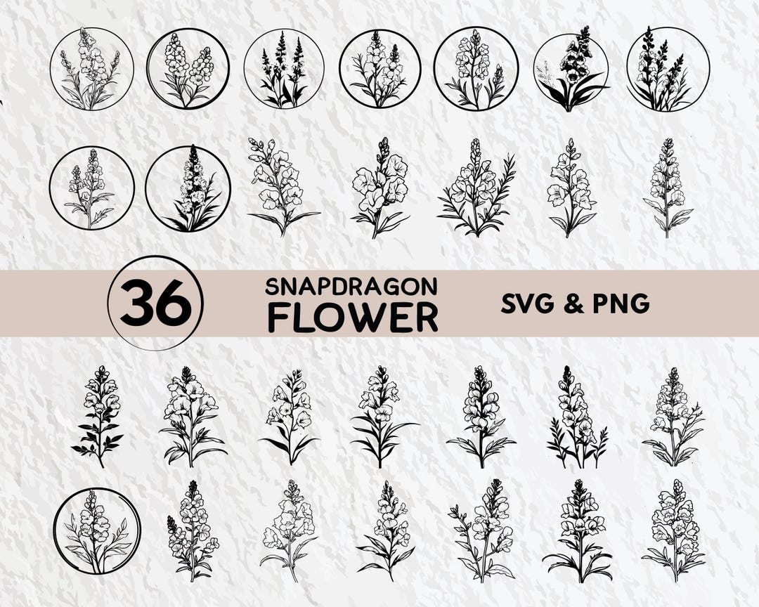 Snapdragon Flower SVG Bundle: Floral Silhouette Clipart (PNG, Vector ...