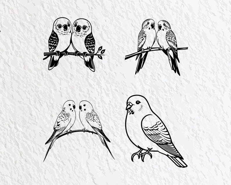 Budgie Bird SVG Bundle: Silhouette, Clipart, Vector (digital Download ...