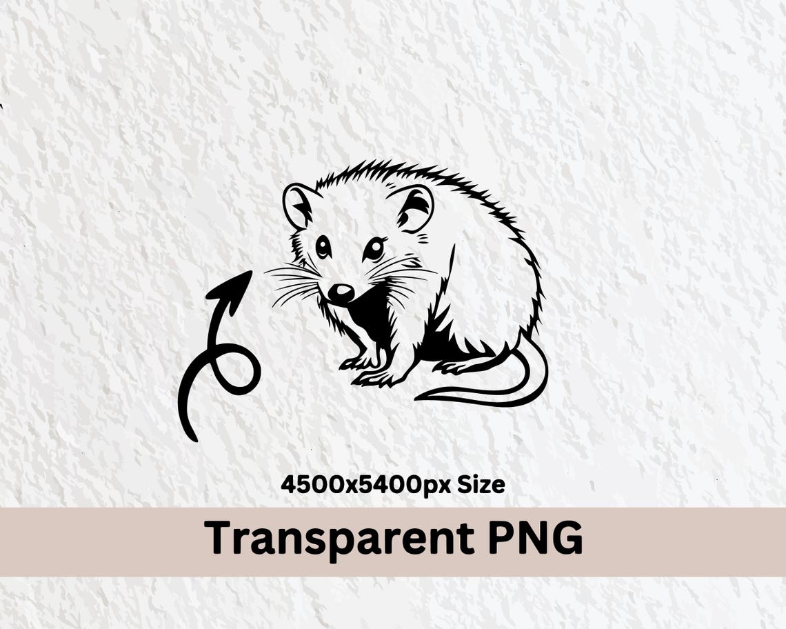 Opossum Svg Bundle, Opossum Silhouette, Opossum Clipart Png, Opossum ...