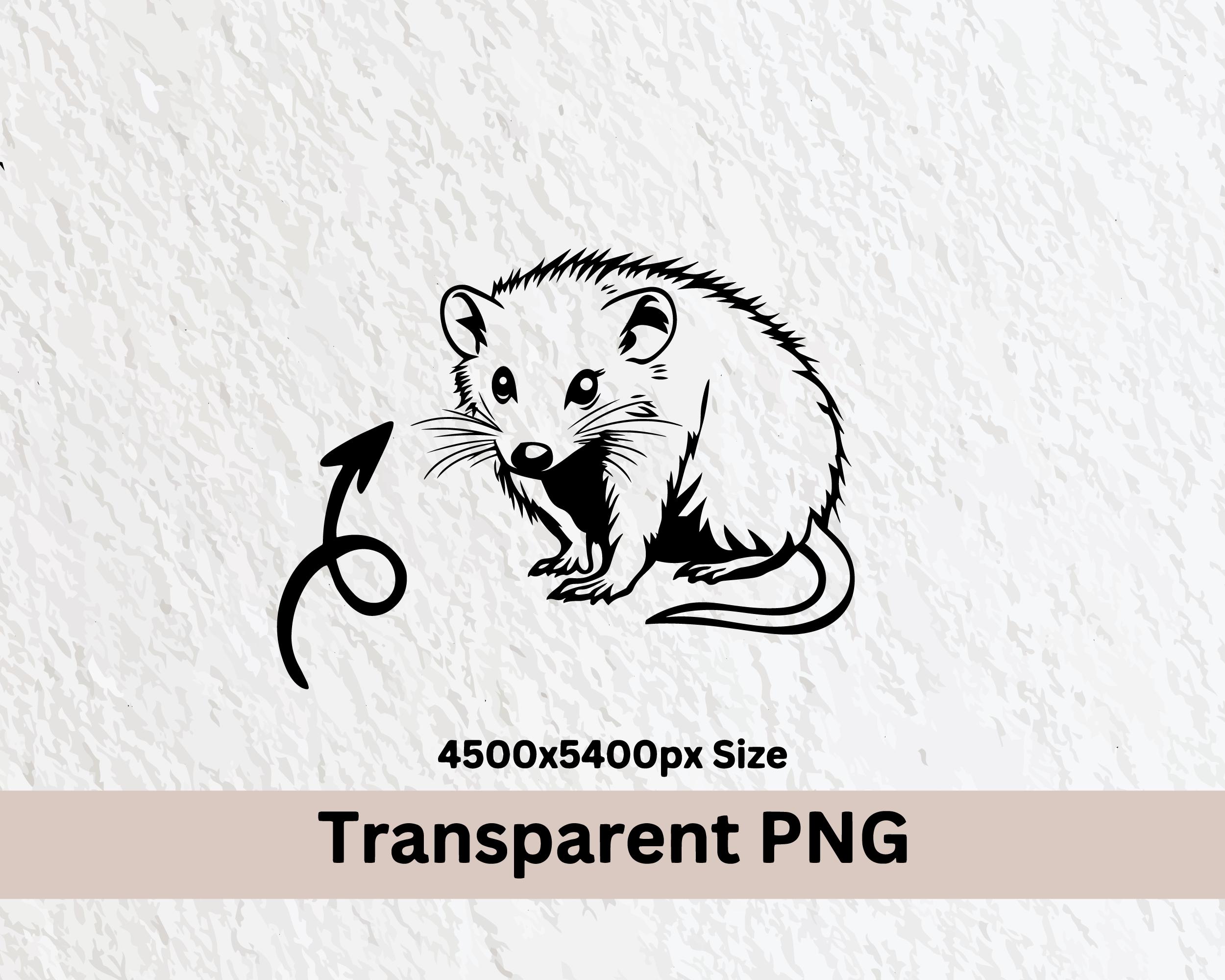 Opossum Svg Bundle, Opossum Silhouette, Opossum Clipart Png, Opossum ...