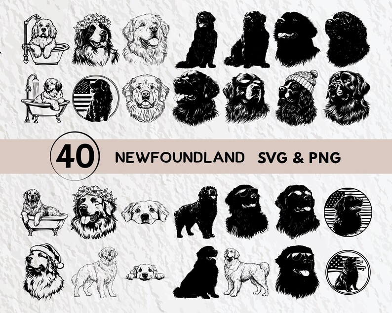Newfoundland Dog SVG Bundle: Silhouette Clipart, Vector Logo (digital ...