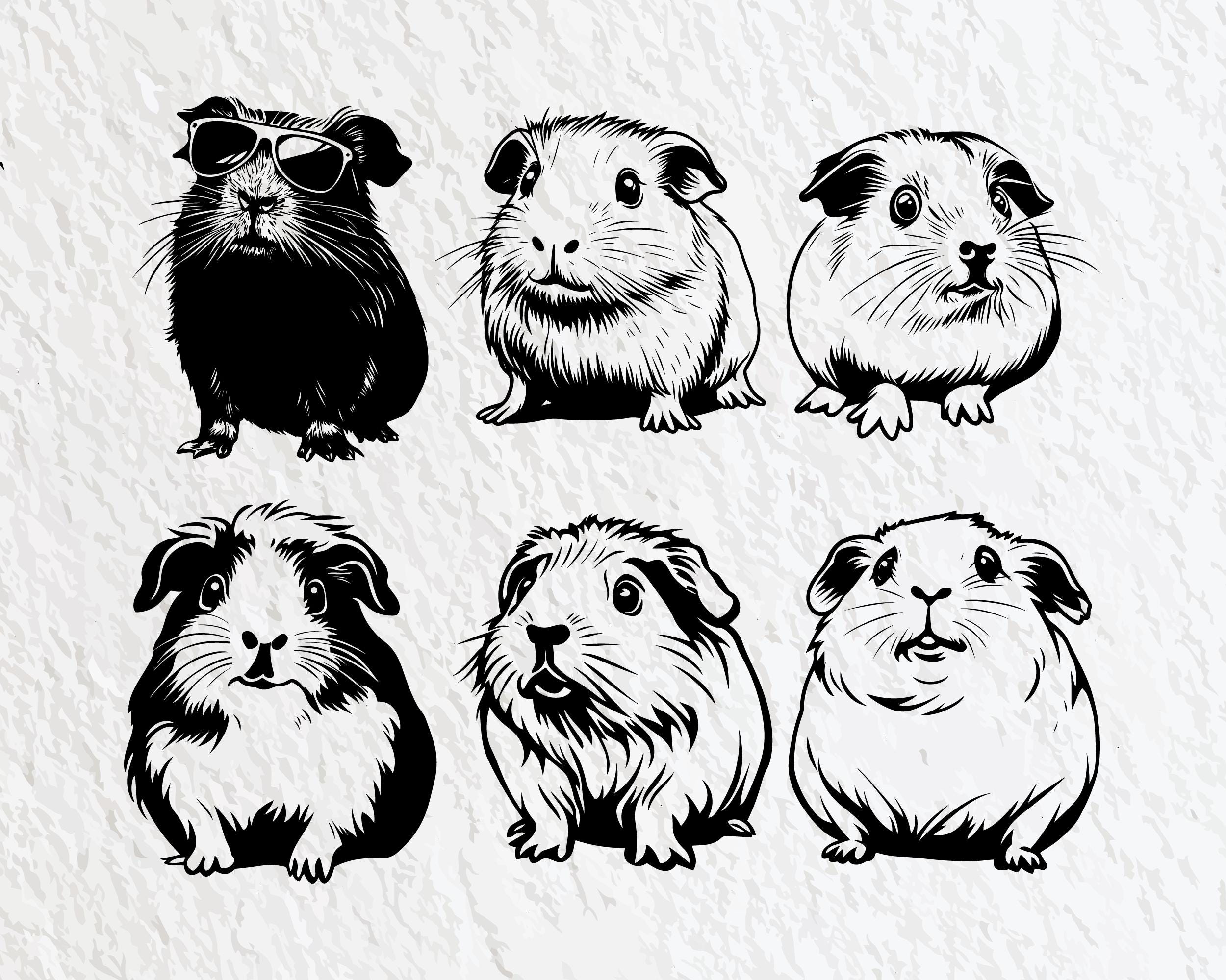Guinea Pig SVG Bundle: Silhouette Clipart, Vector Icon (PNG, Cricut) - Etsy