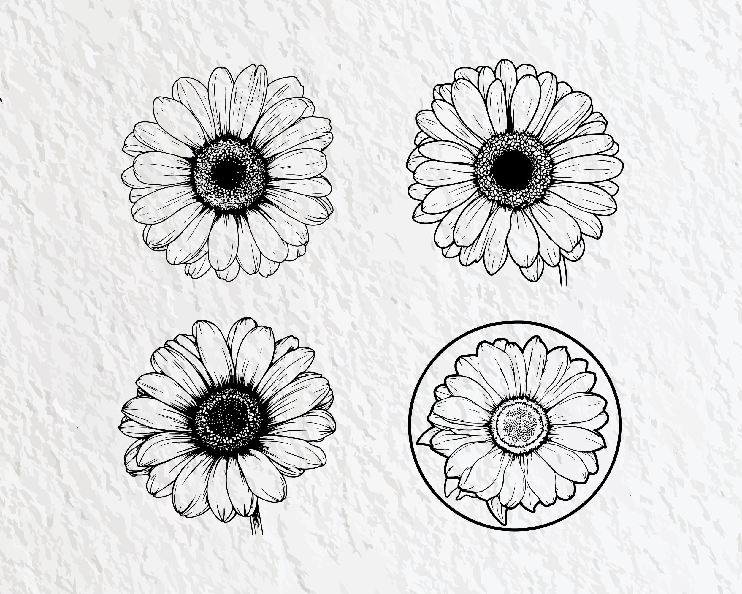 Gerbera Svg Bundle, Gerbera Silhouette, Gerbera Clipart Png, Gerbera ...