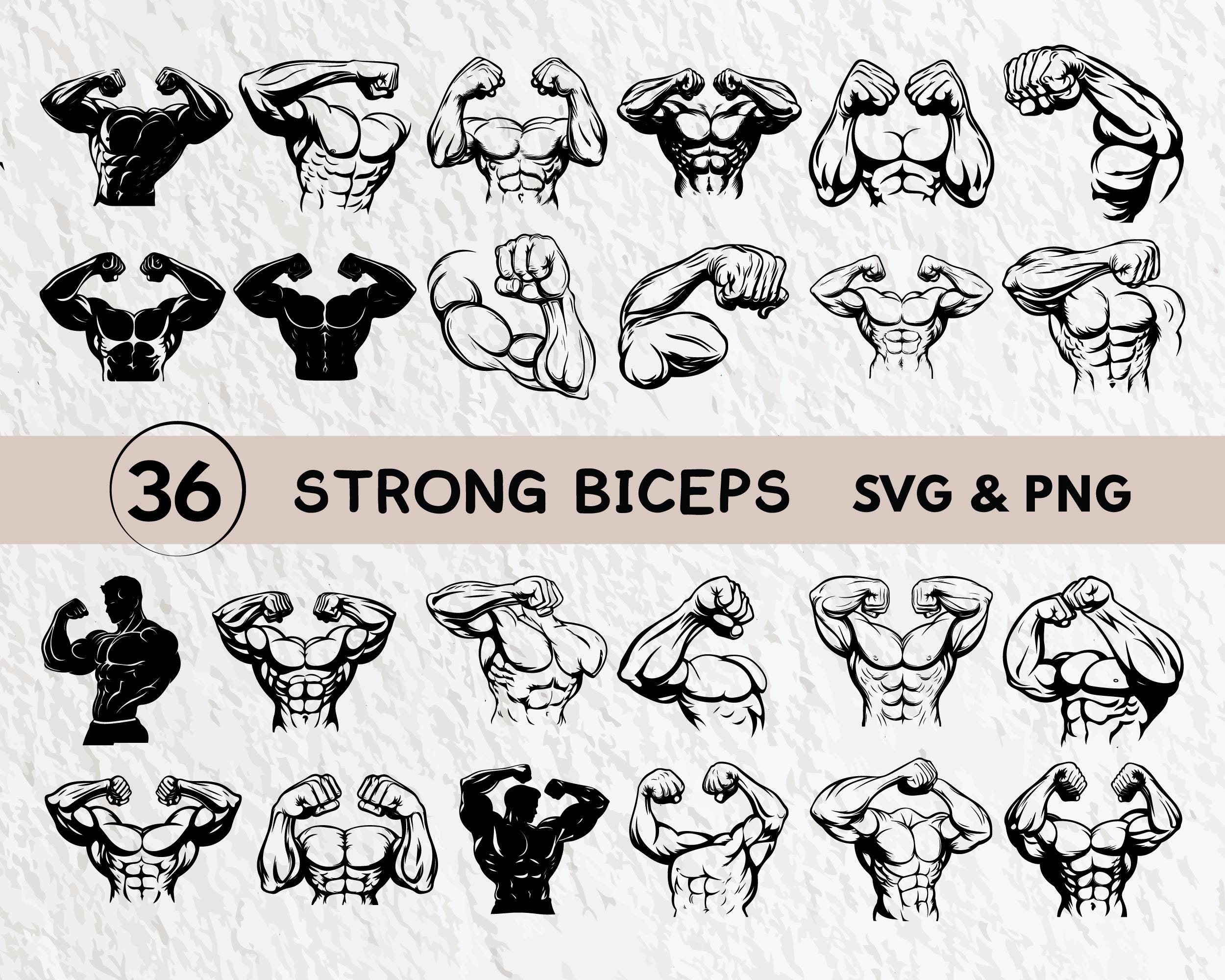 Strong Biceps SVG Bundle: Muscle Bodybuilding Clipart (PNG, SVG) - Etsy