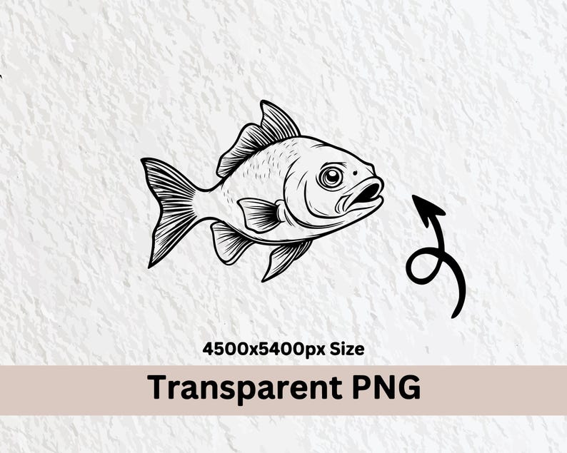 Fish SVG Bundle: Silhouette Clipart, Vector Cut Files (PNG, Cricut) - Etsy