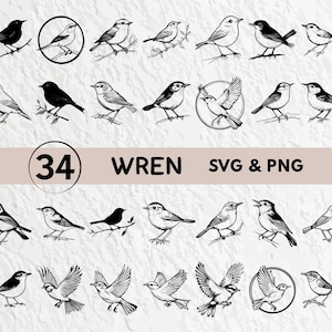 Wren SVG Bundle: Silhouette Clipart, Vector Decal (PNG, Cricut) - Etsy